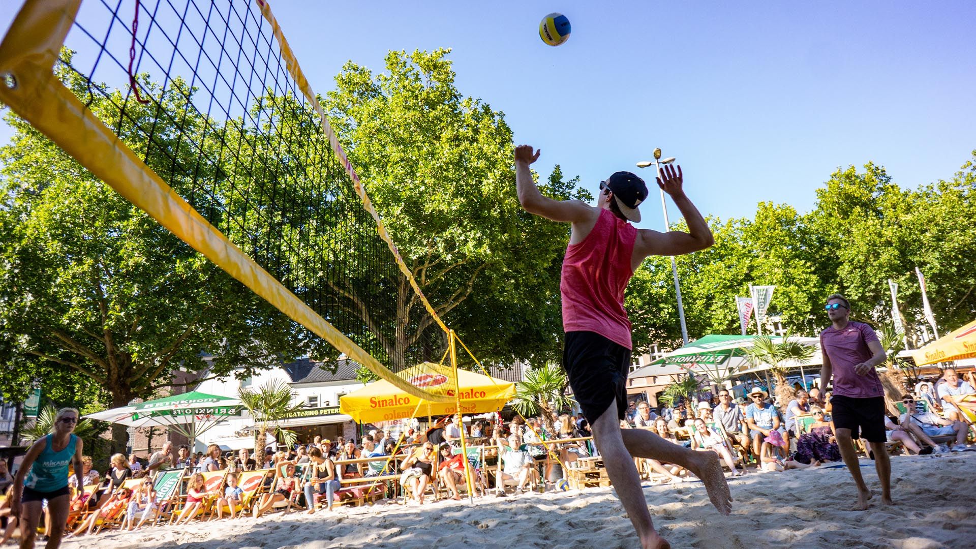Startseite - Street Food & Beach Festivals